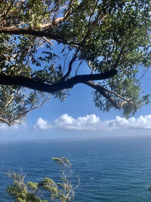 SAT-CHIT-ANANDA: THE ULTIMATE BLISS – Promod Puri.com